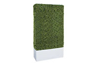Hedge Wall | Miami Props | Lavish Event Rentals